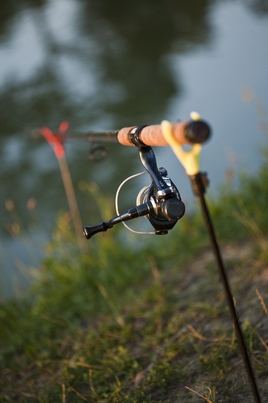Godišnje dozvole za ribolov - Turistička zajednica grada Jastrebarskog